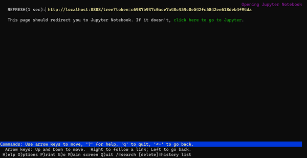 Opening Jupyter Notebooks in the right browser from WSL